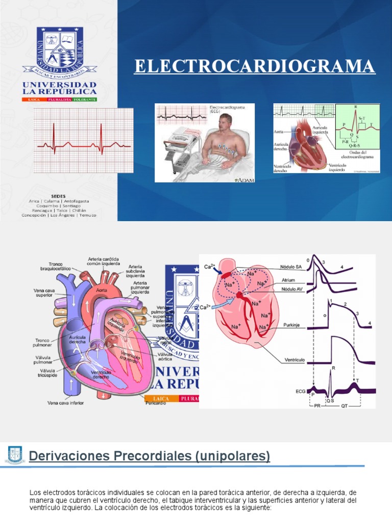 Clase 2 Ecg | PDF | Electrocardiografia | Sistema cardiovascular