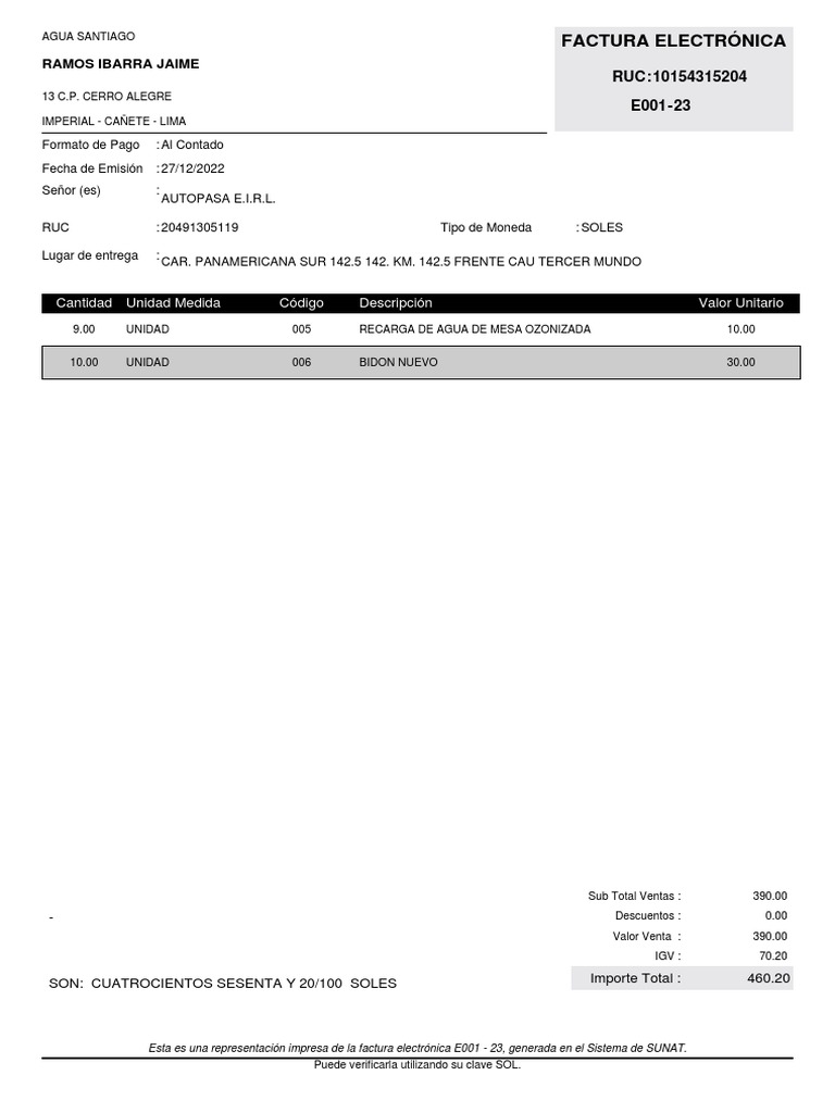 Factura 10154315204 E001 23 | PDF