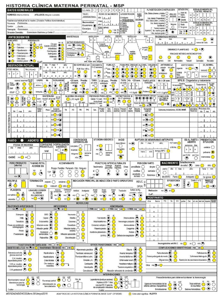 Cartilla Prenatal | PDF