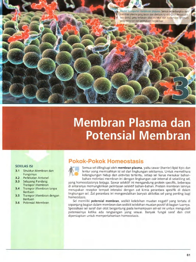 Bab 03 Membran Plasma Dan Potensial Membran | PDF