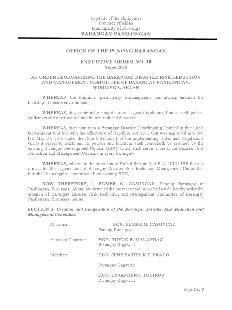10 Bdrrmc Pdf Social Science