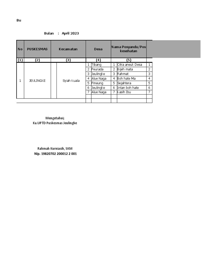 Laporan Posyandu Puskesmas Jeulingke | PDF