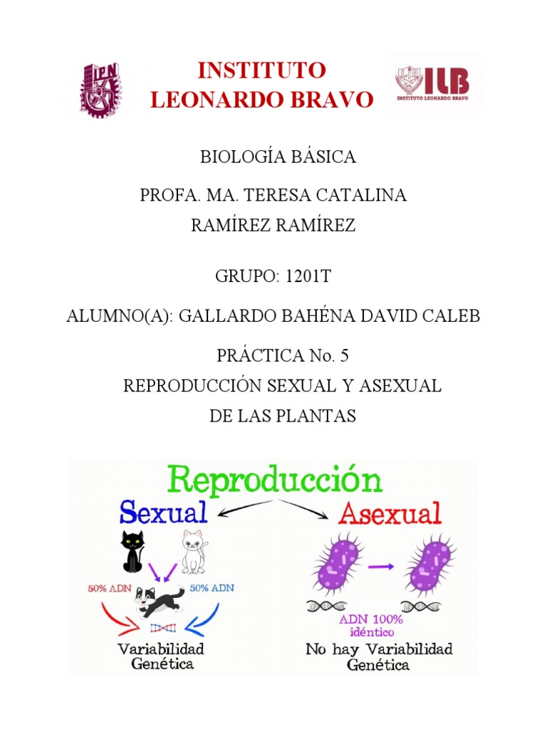 Reproducción Sexual y Asexual de Las Plantas | PDF