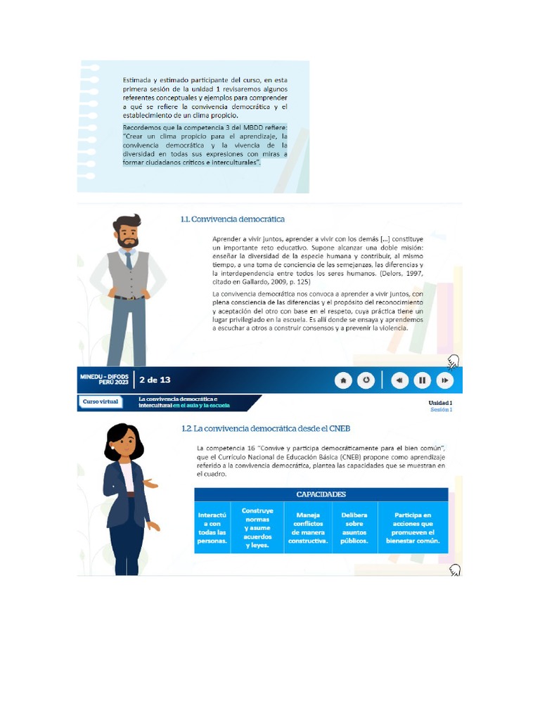 Convivencia Democratica | PDF