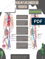 Sistema Hexaxial de Bailey | PDF | Electrocardiografia | Corazón