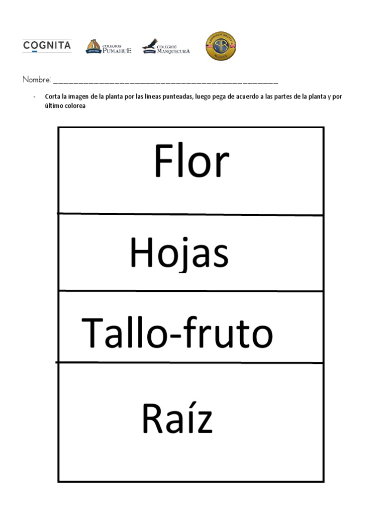 Anexo Guía Partes de Una Planta | PDF