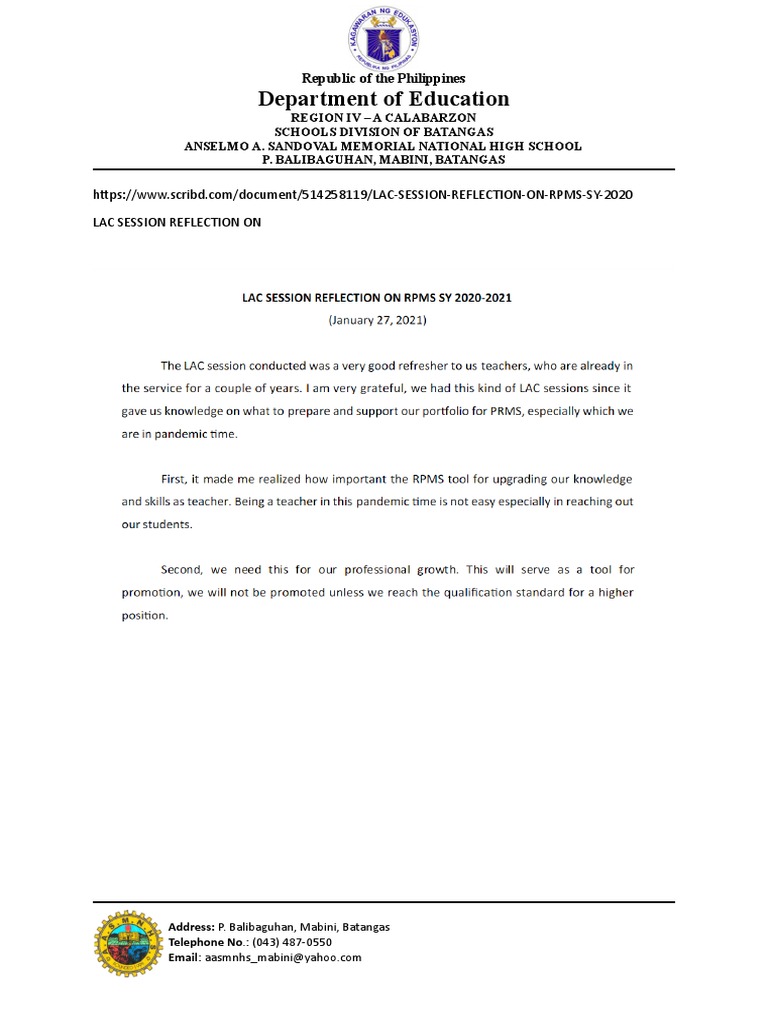 Reflection Journal On RPMS | PDF