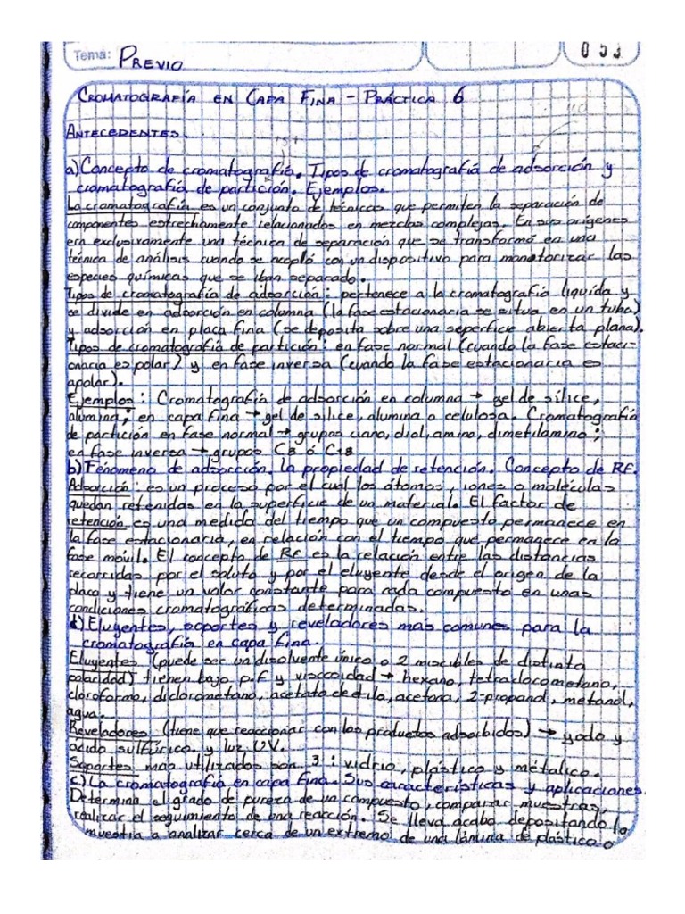 Previo P6 LQOI | PDF