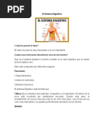 Colangiografía por Sonda T: Guía Completa | PDF | Bilis | Hígado