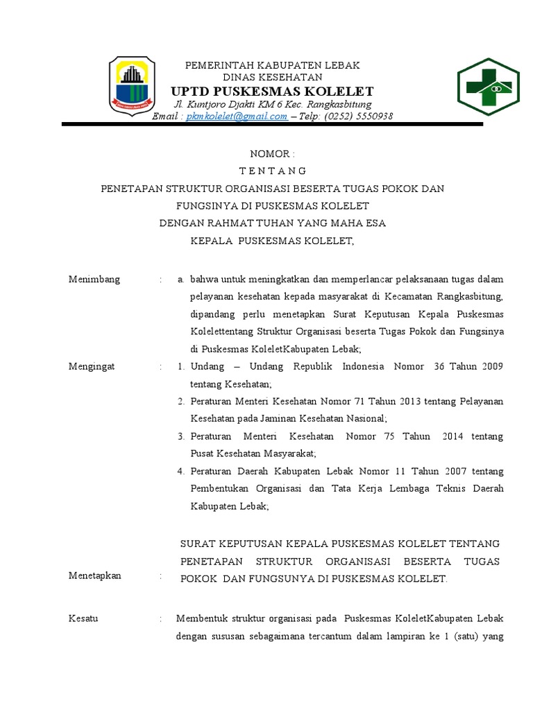 SK Struktur Organisasi PKM | PDF