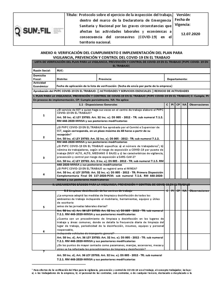 Anexo 4 Rs.103 2020 Sunafil | PDF