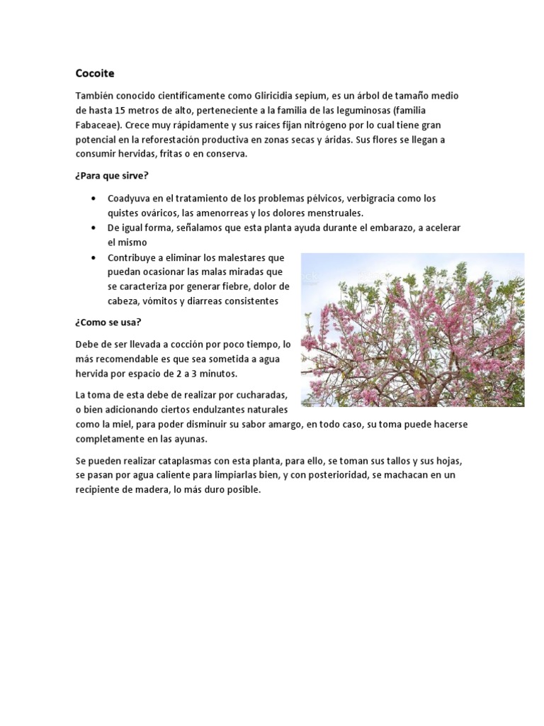 Herbolario | PDF | Coco | Plantas