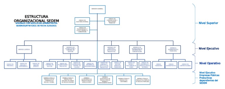 Estructura Organizacional Sedem Final 20-05-2021 | PDF