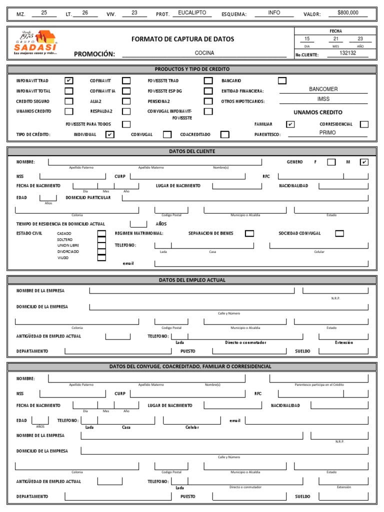 Formato De Captura De Datos V2 Pdf 5810