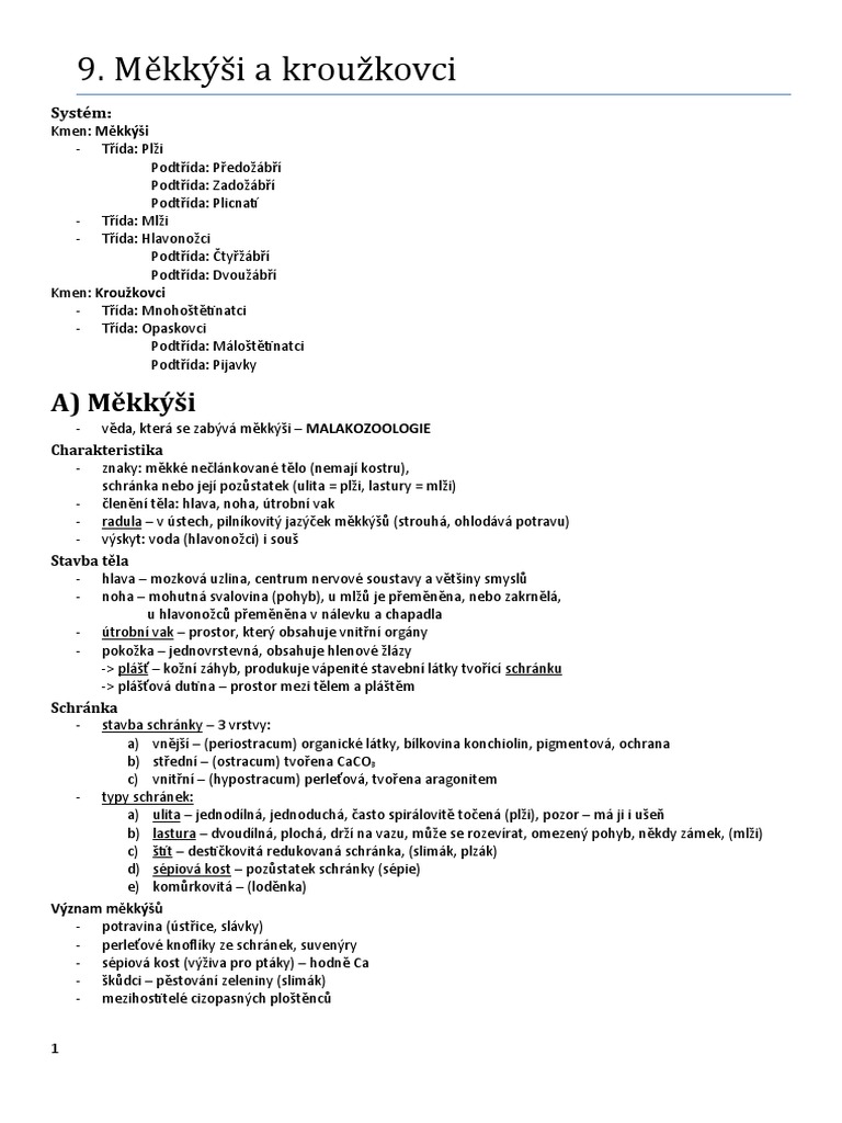 Bi09 Mekkysi Krouzkovci | PDF