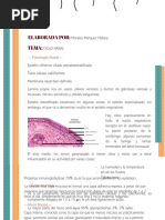Tipos de Facies y sus Características | PDF | Anatomía humana ...