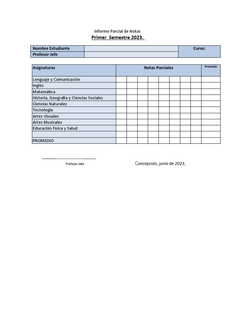Informe Parcial de Notas 2023 | PDF