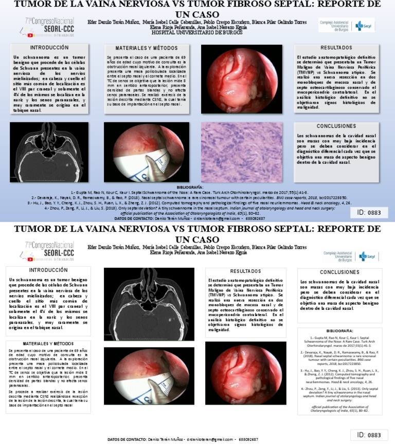 Poster Seorl 2020 | PDF