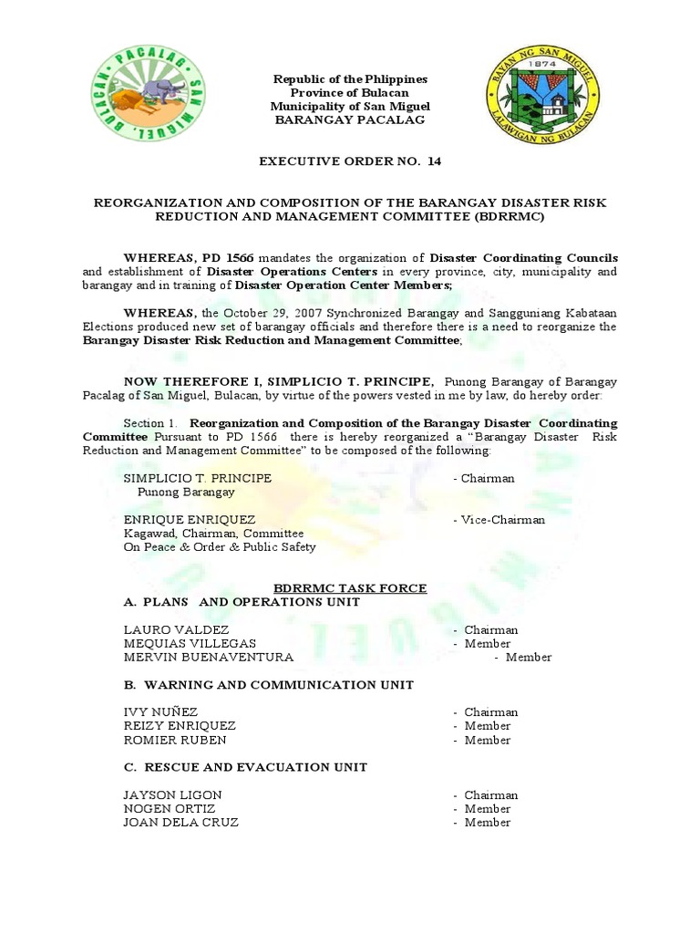 Executive Order BDRRMC | PDF | Emergency Evacuation | Safety