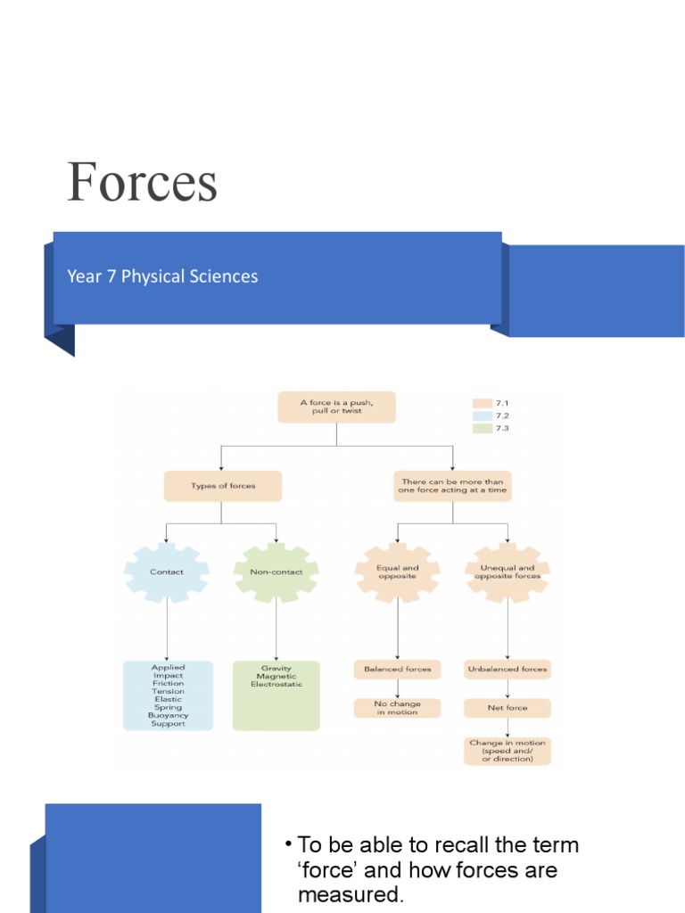 Y07 Forces P1 | PDF | Force | Buoyancy
