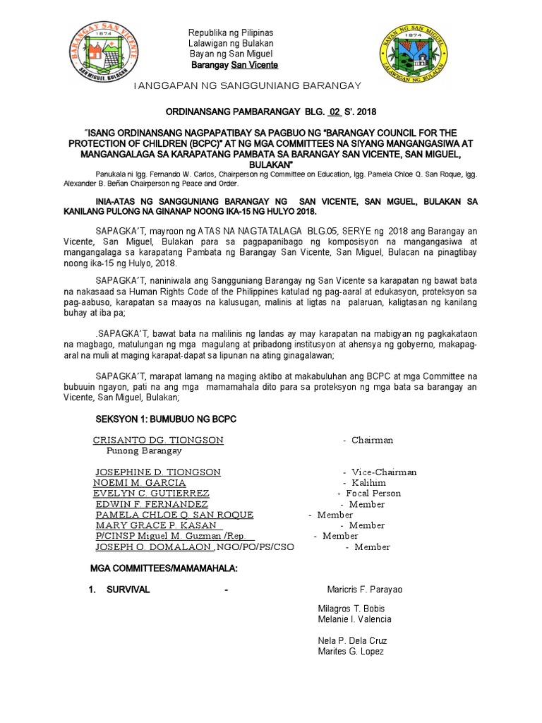 02 Ordinansa BCPC San Vicente | PDF