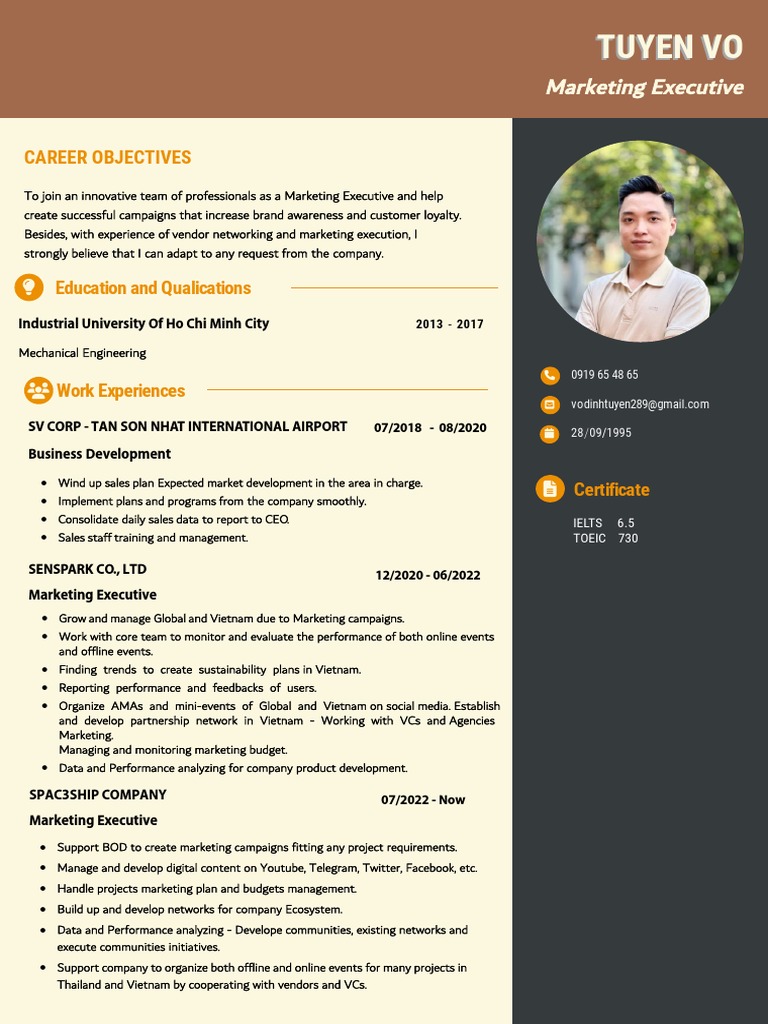 Tuyen Vo - CV 1 | PDF