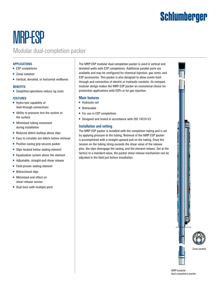 MRP Retrievable Packer Esp Completions | PDF