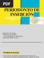 Tipos de Cemento Radicular: Acelular y Celular | PDF | Ramas de ...