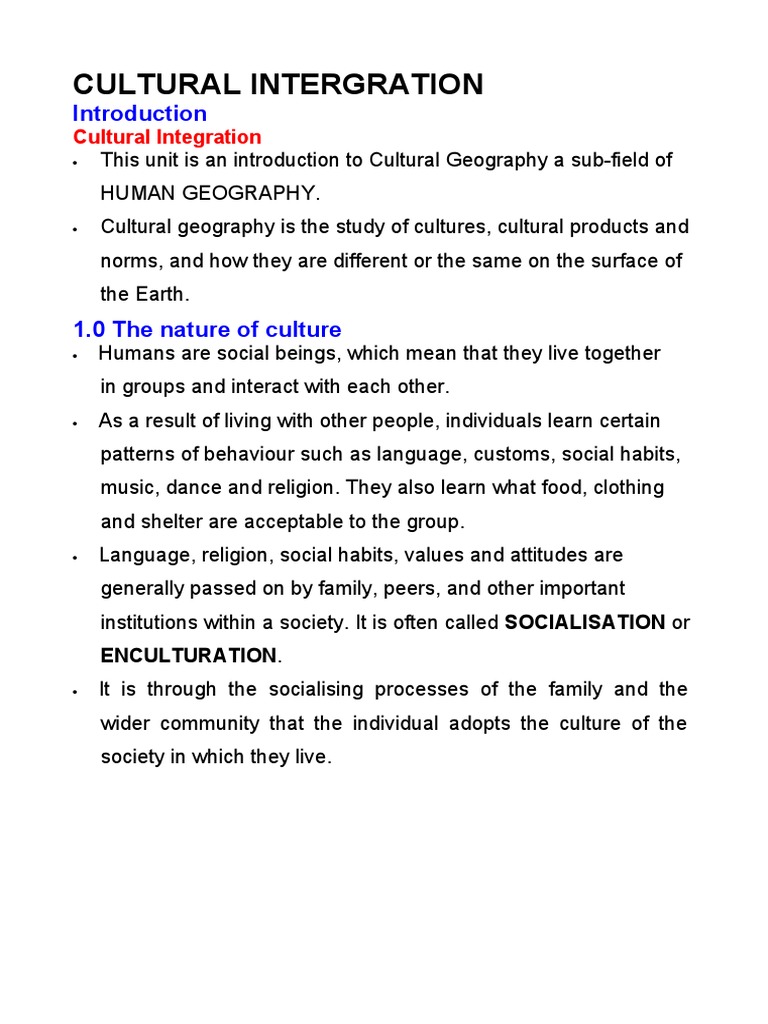 Cultural Integration | PDF | Fashion | Consumerism