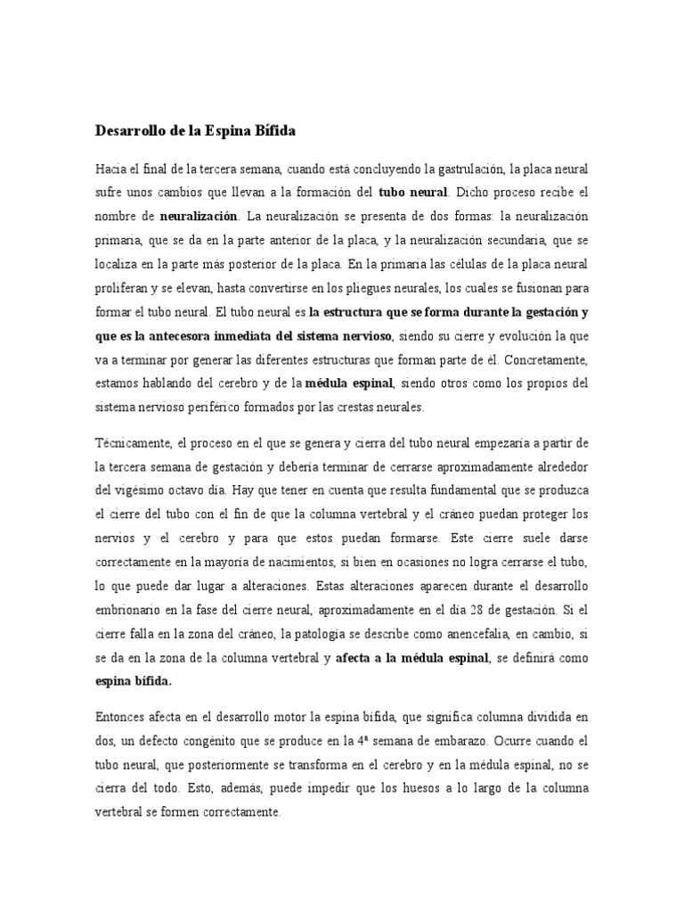 Desarrollo de La Espina Bífida | PDF