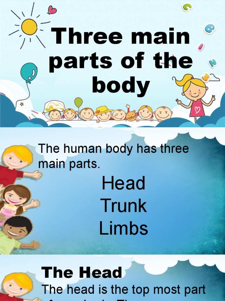 Three Main Parts of the Body | PDF | Language Arts & Discipline