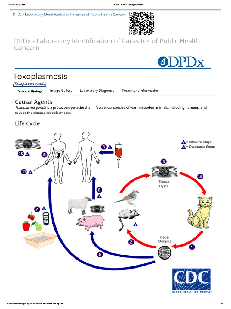CDC - DPDX - Toxoplasmosis | PDF | Health Sciences | Medical Specialties
