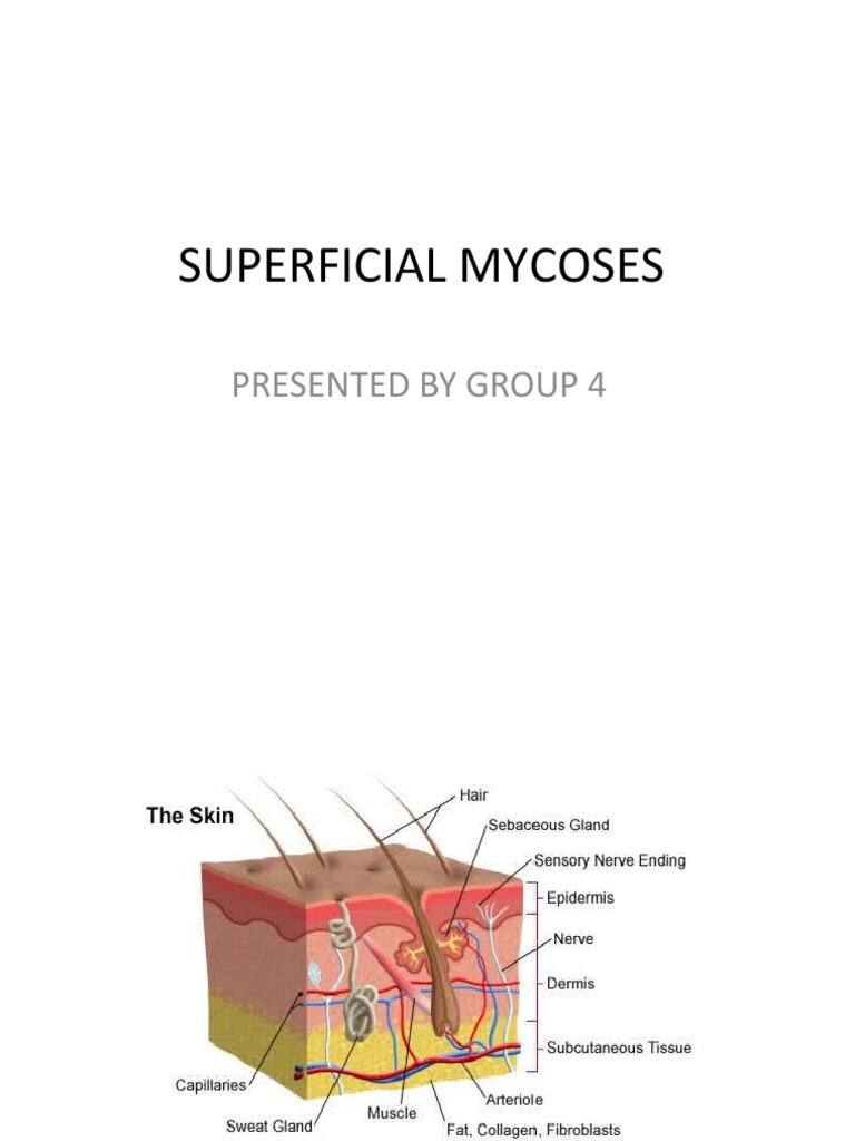 Understanding Superficial Mycoses | PDF | Diseases And Disorders | Skin