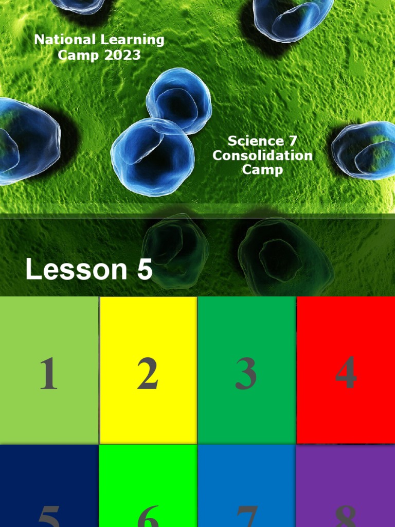 Lesson 5 - Science 7 Consolidation | PDF
