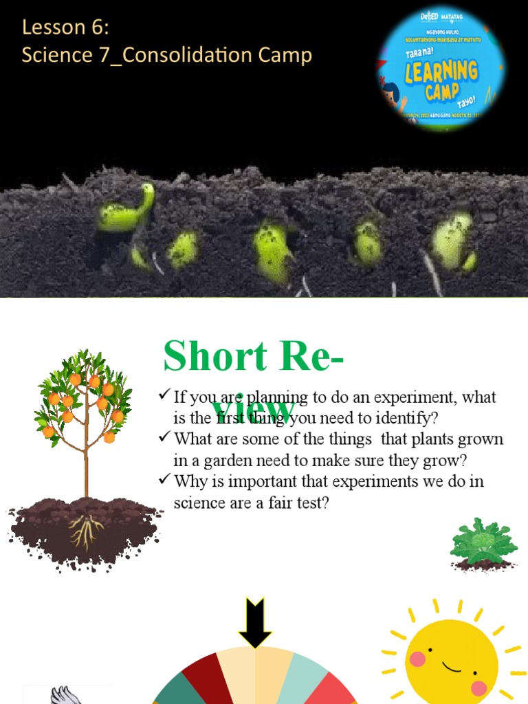 Lesson 6 - Science 7 Consolidation | PDF