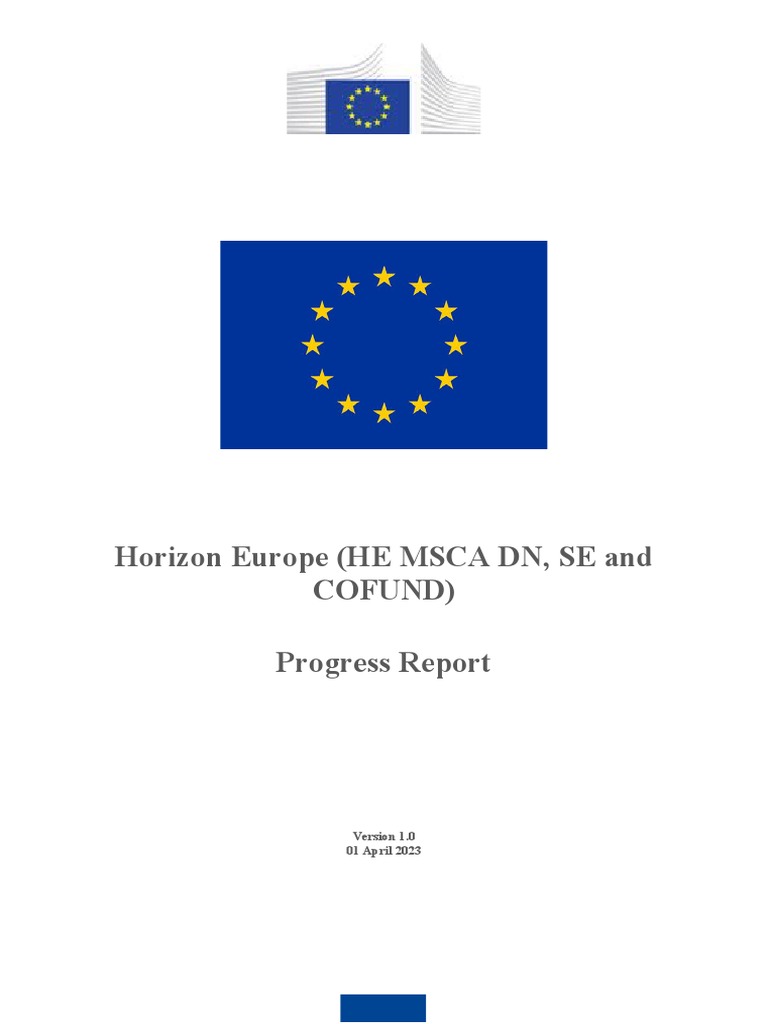 Progress-Report He-Msca en | PDF