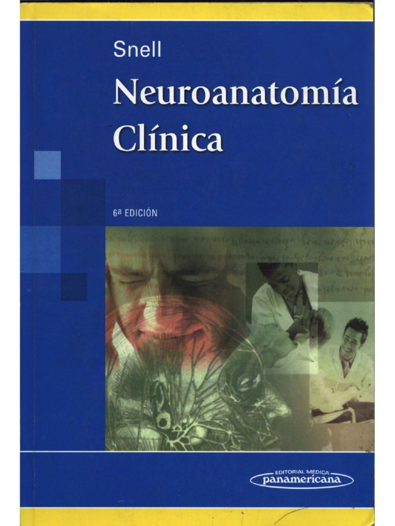 Snell. Neuroanatomía Clínica. 6ta Ed | PDF | Neuroendocrinology | Hormone