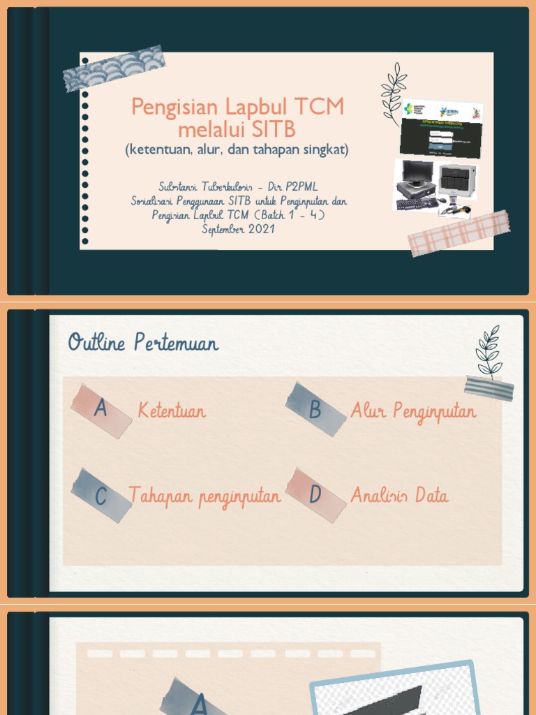 Panduan Pengisian Lapbul TCM | PDF