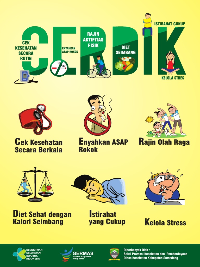 Program Cerdik Kesehatan Berkala | PDF
