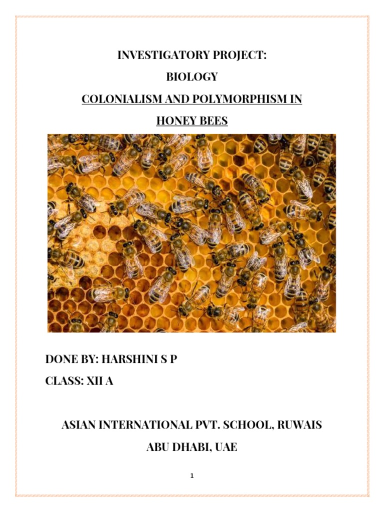 Polymorphism and Colonialism in Honey Bees Harshini S P | PDF