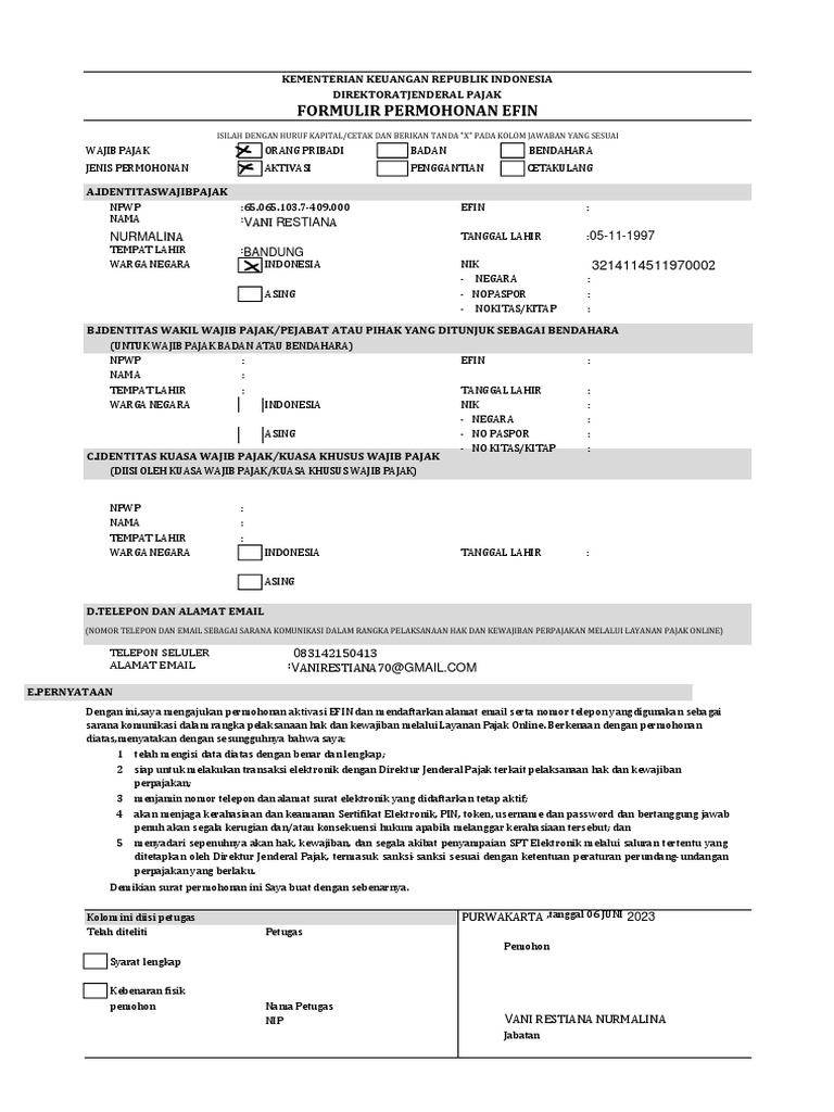 Formulir Permohonan Aktivasi EFIN | PDF