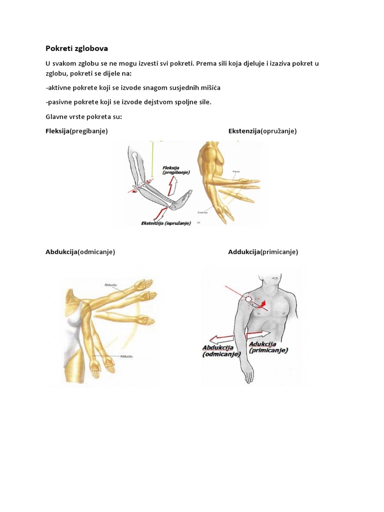 Pokreti Zglobova | PDF