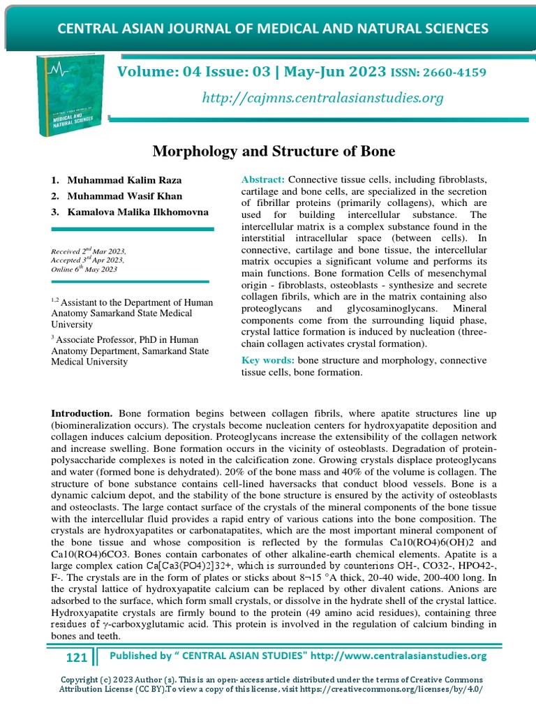 Morphology and Structure of Bone | PDF