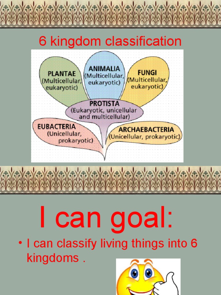 6 Kingdoms Classification | PDF