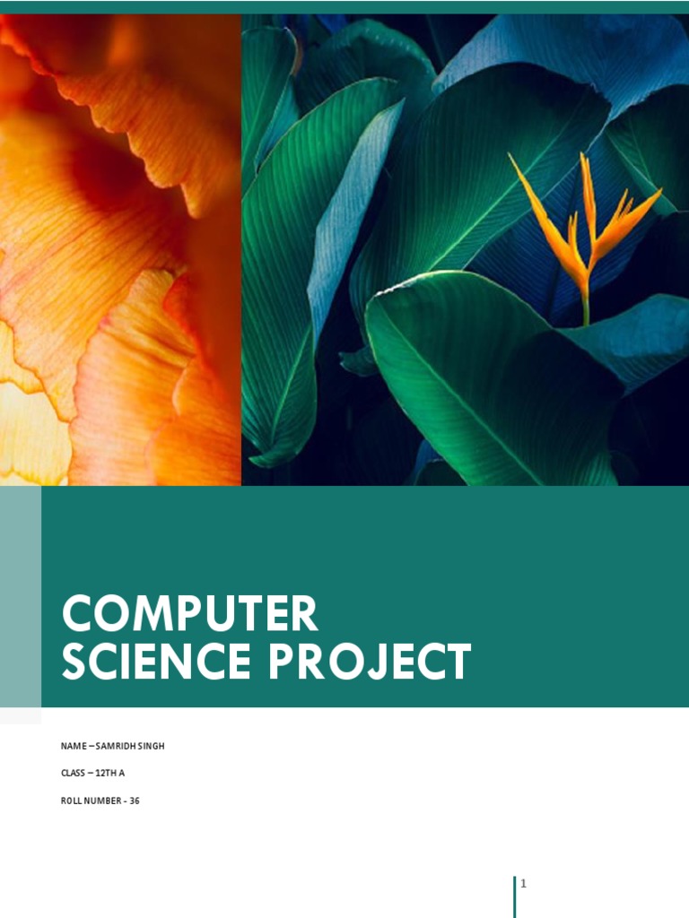 Airline Passenger Management System | PDF | Software | Information ...