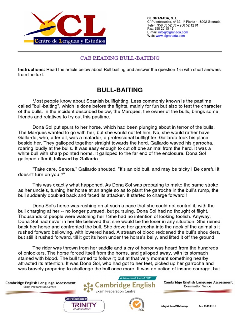 Cae Reading Bull Baiting | PDF | Bullfighting | Bull