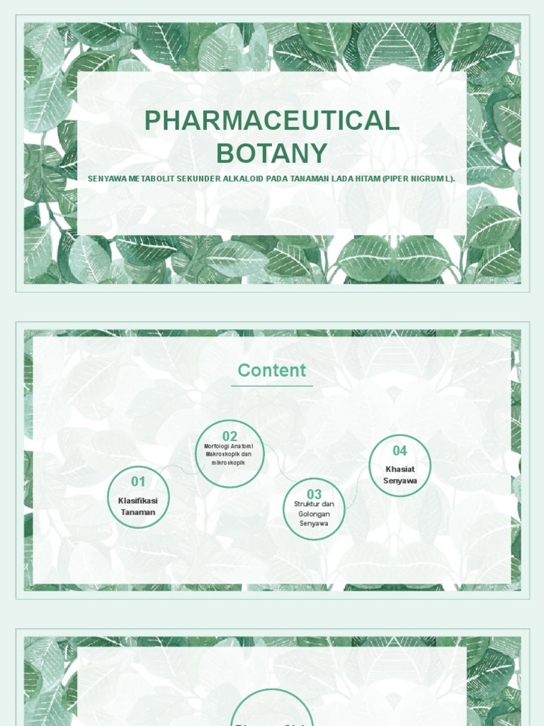 Ppt Botani Farmasi Senyawa Metabolit Sekunder Maya s Maharani | PDF