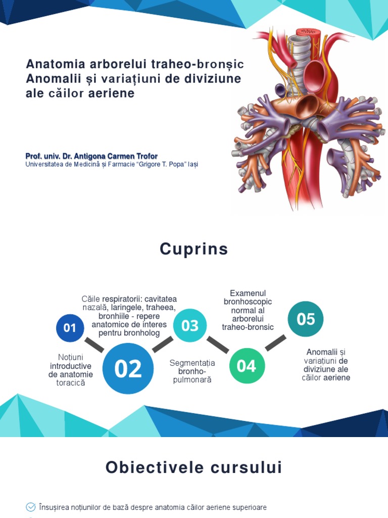 P1 - Anatomia Arborelui Traheobronșic. Anomalii Și Variațiuni | PDF