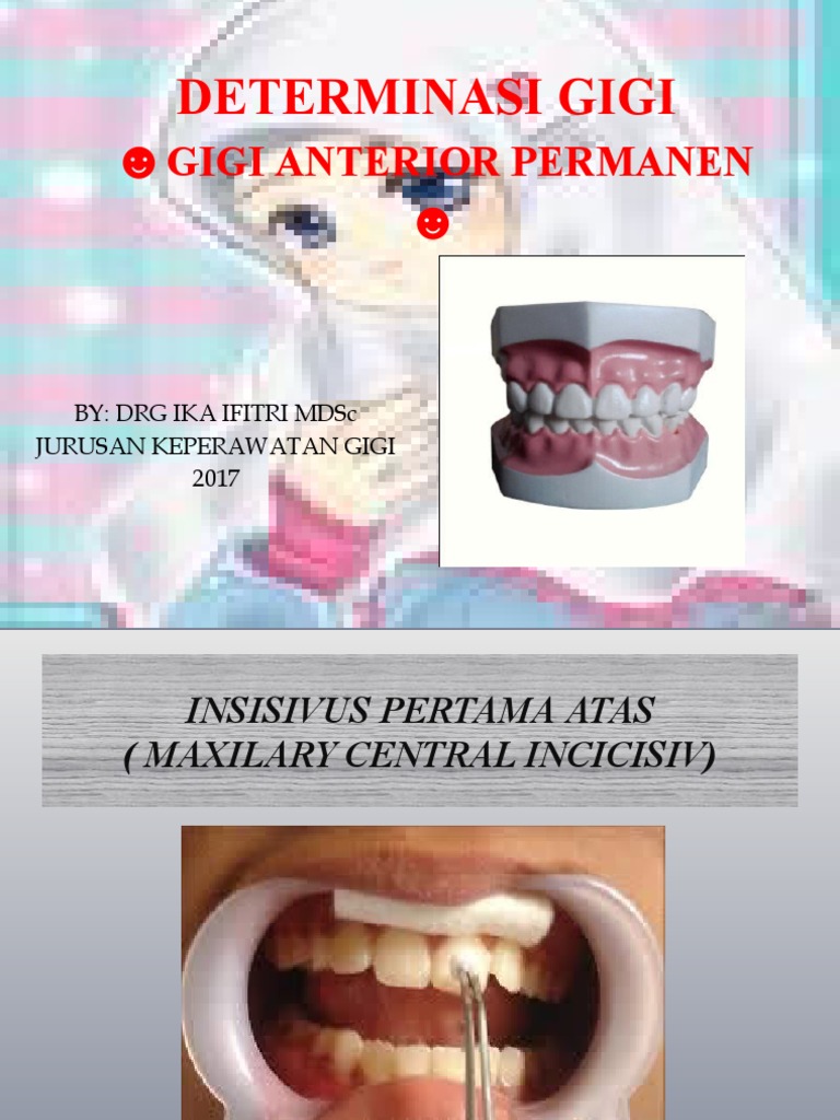 Struktur dan Ciri Gigi Anterior | PDF