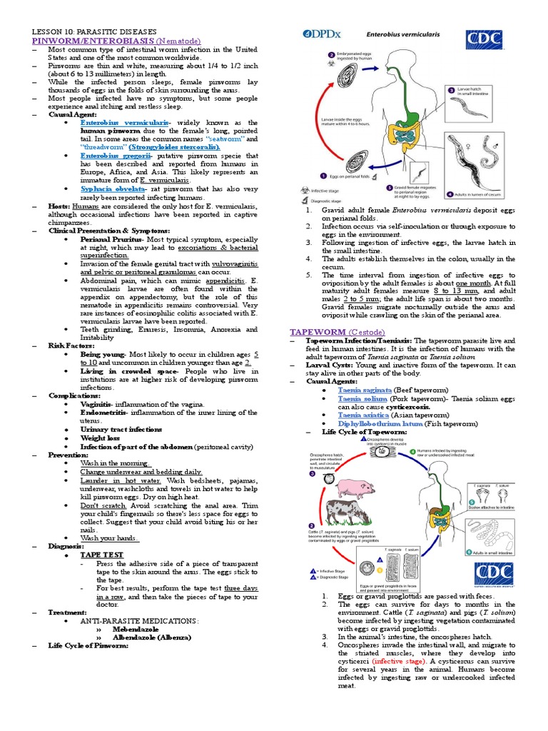 Lesson 10 | PDF | Parasitology | Medicine Lesson 10 | PDF | Parasitology | Medicine